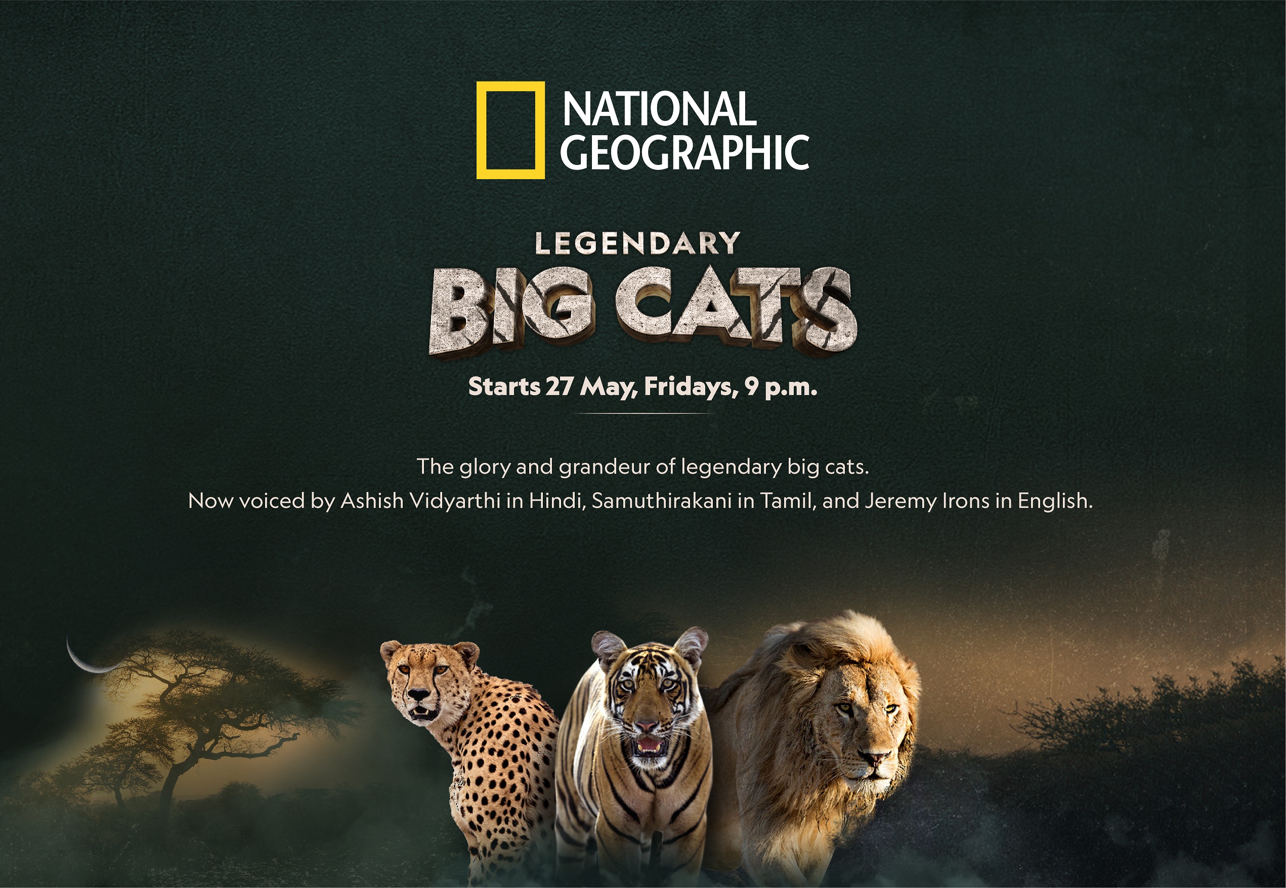 Nat Geo Wild presents new series 'Legendary Big Cats' with Ashish ...